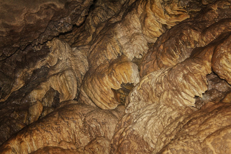 The Rat's Nest Cave Will Change You. I Promise. - Dax Justin / Creative