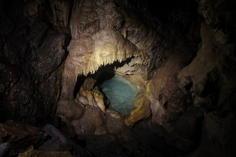 How to Take the Best Photos in Low/No-Light Conditions: The Rat's Nest ...